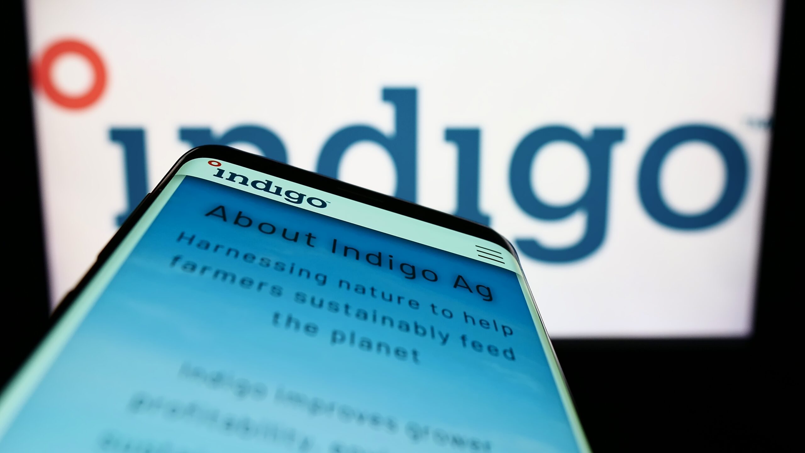 Indigo Ag names a former Tyson Foods CEO as its new head